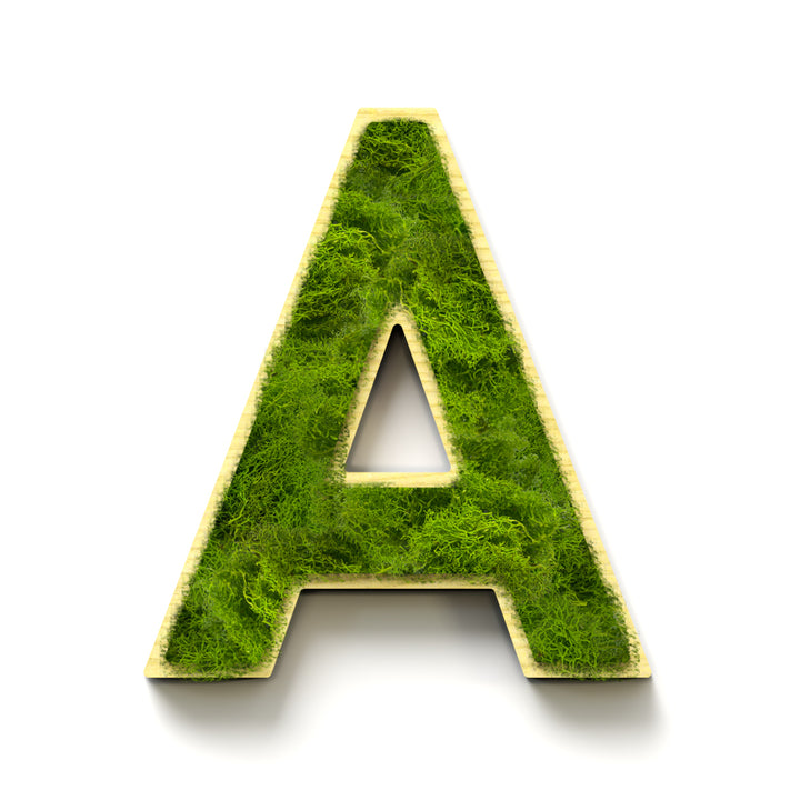 Moosly® - Moosbuchstaben und Moosbilder